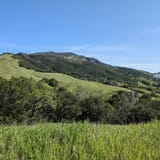 Curry Canyon Trail, California - 101 Reviews, Map | AllTrails