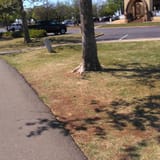 Lake Hefner Trail, Oklahoma - 1,285 Reviews, Map | AllTrails