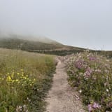 Point Buchon Trail, California - 501 Reviews, Map | AllTrails