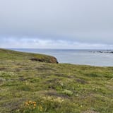 Point Buchon Trail, California - 520 Reviews, Map | AllTrails