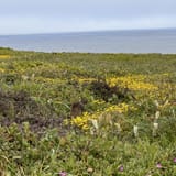 Point Buchon Trail, California - 520 Reviews, Map | AllTrails