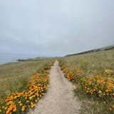 Point Buchon Trail, California - 526 Reviews, Map | AllTrails