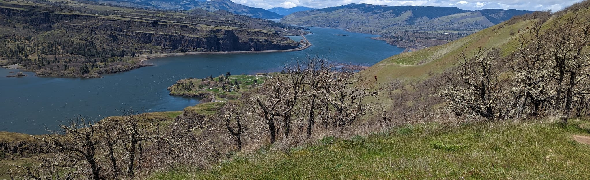 Lyle Loop and Lyle Cherry Orchard Trail, Washington - 141 Reviews, Map ...