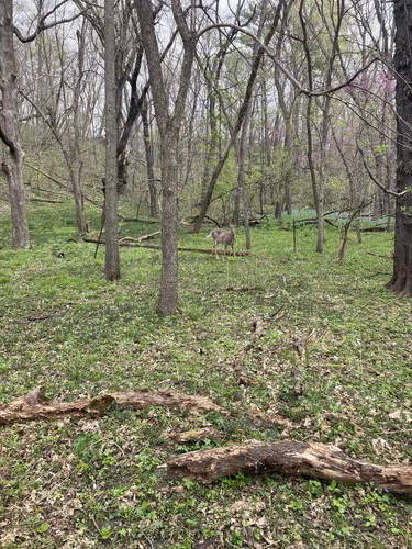 10 Best Trails and Hikes in Ames | AllTrails