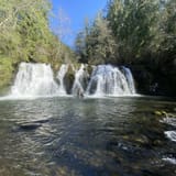 Beaver Falls, Washington - 240 Reviews, Map | AllTrails