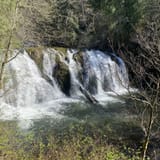 Beaver Falls, Washington - 240 Reviews, Map | AllTrails