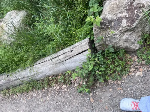 Best Hikes and Trails in Albany Hill Park | AllTrails