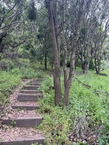 Best Hikes and Trails in Albany Hill Park | AllTrails