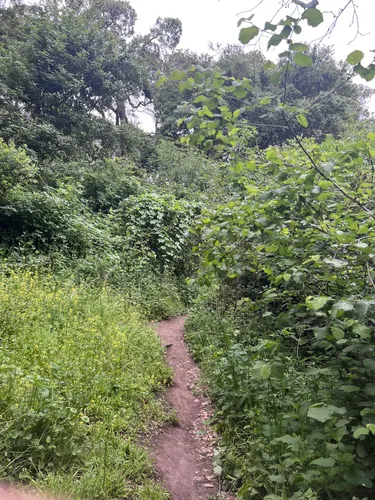Best Hikes and Trails in Albany Hill Park | AllTrails