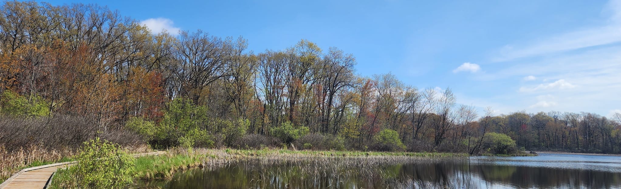 Mike Metz Fen Trail, Indiana - 42 Reviews, Map | AllTrails