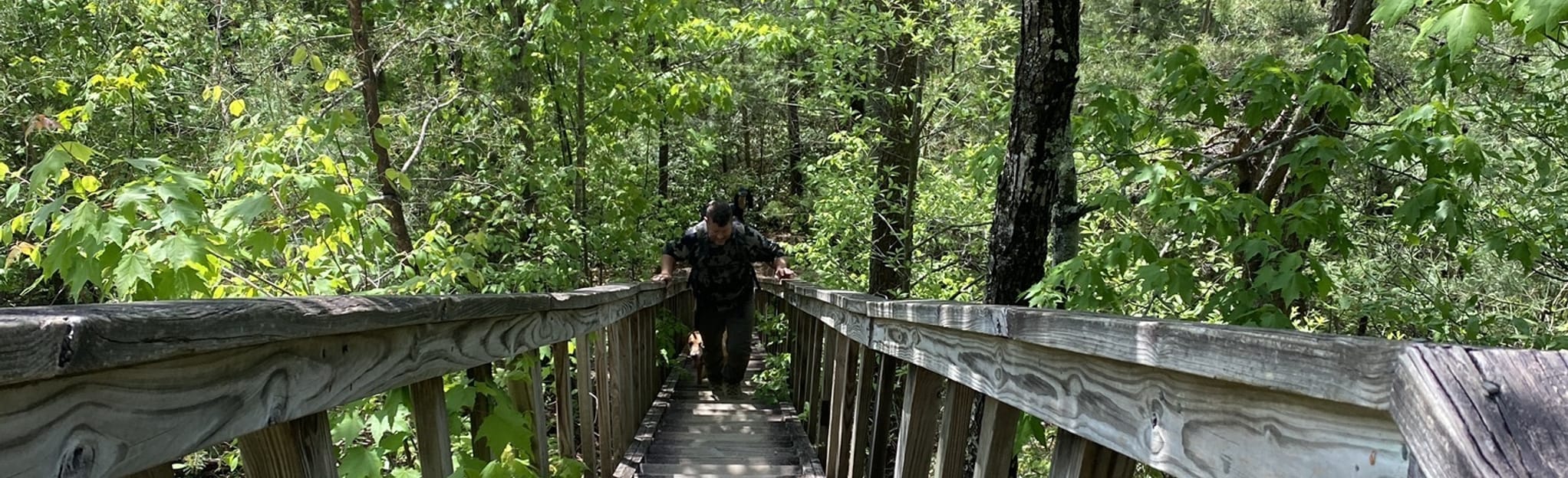 Silvermine Arch Trail, Kentucky - 1,075 Reviews, Map | AllTrails