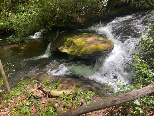 Best Hikes and Trails in Connestee Falls Hiking Trails | AllTrails
