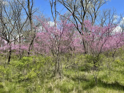 Best Hikes and Trails in Red Haw State Park | AllTrails