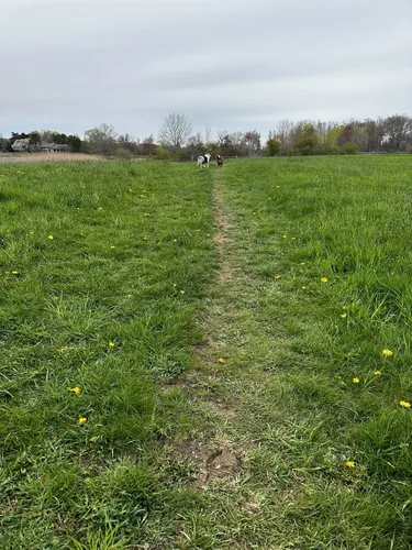Best Hikes and Trails in Castle Neck River Reservation | AllTrails