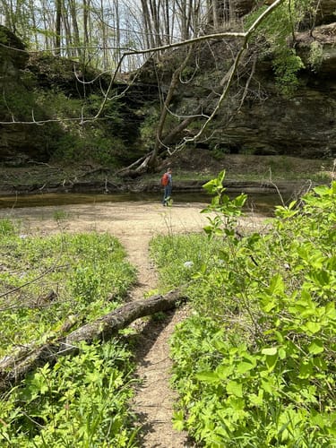 Best Hikes and Trails in Portland Arch Nature Preserve | AllTrails
