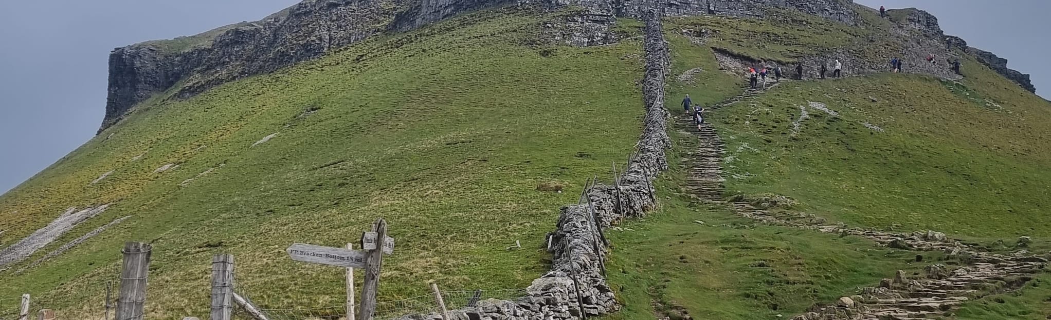 Halton Gill, Pen-y-ghent, Plover Hill and Foxup Circular: 11 Reviews ...