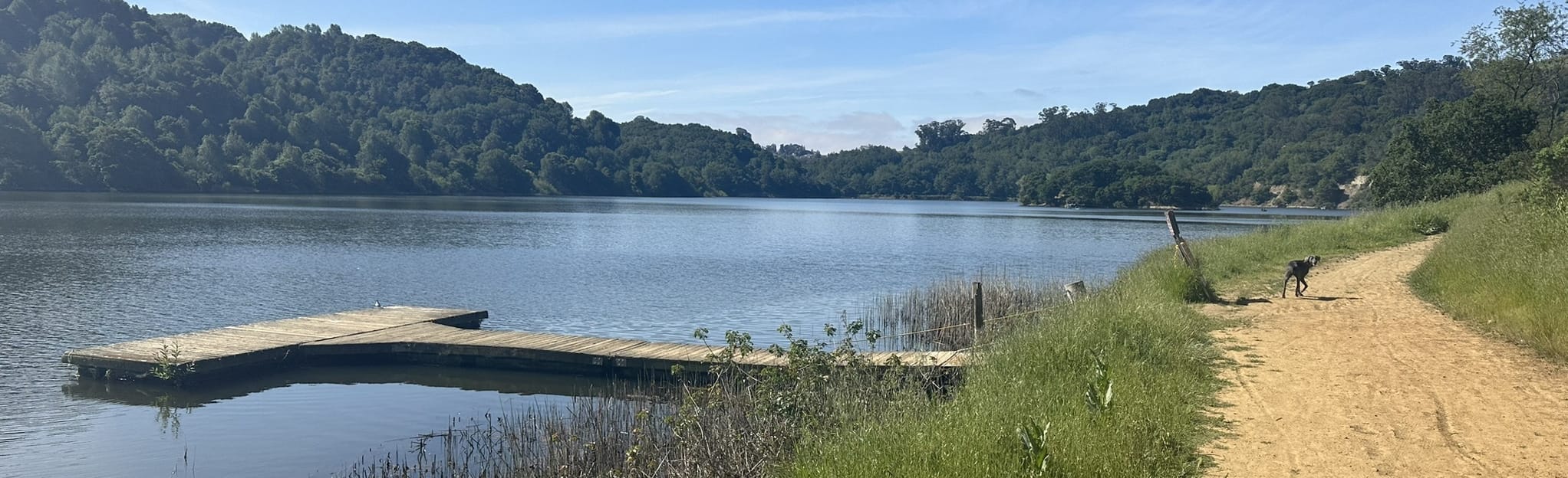 Ten Hills Trail, Honker Bay, Quail Trail, and Brandon Skyline Loop: 198 ...