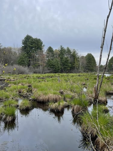 Best Hikes and Trails in Assabet River National Wildlife Refuge | AllTrails