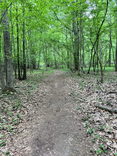 Best Hikes and Trails in The Ridge Nature Area | AllTrails