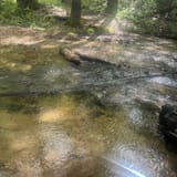 Wildcat Creek Loop Trail, Georgia - 322 Reviews, Map | AllTrails