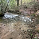 Wildcat Creek Loop Trail, Georgia - 322 Reviews, Map | AllTrails