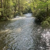 Wildcat Creek Loop Trail, Georgia - 322 Reviews, Map | AllTrails
