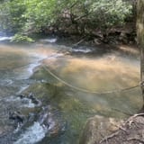 Wildcat Creek Loop Trail, Georgia - 322 Reviews, Map | AllTrails