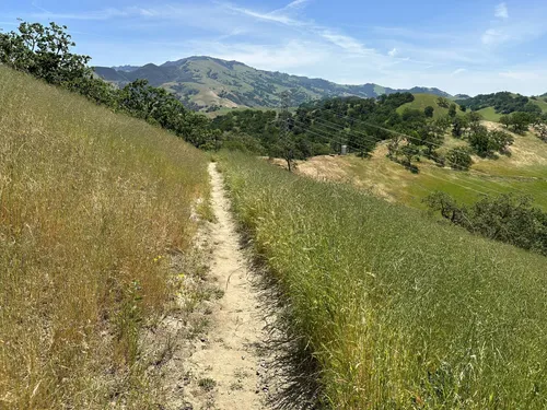10 Best Hikes and Trails in Shell Ridge Open Space | AllTrails
