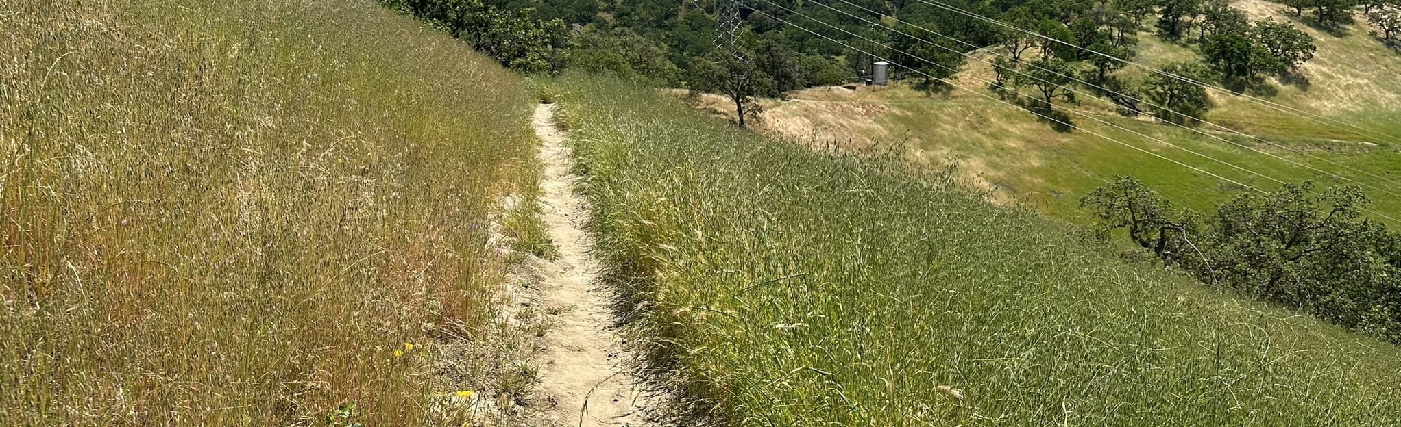 Shell Ridge: Twin Ponds Loop, California - 499 Reviews, Map | AllTrails