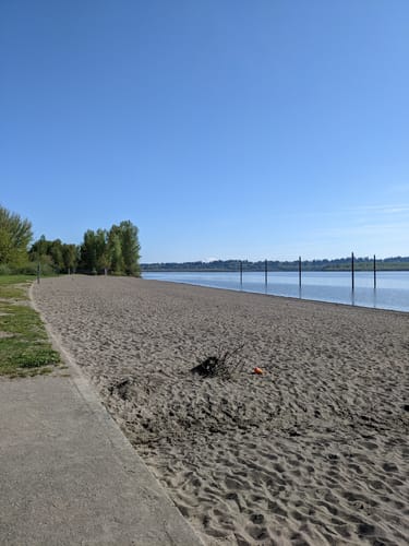 Best Hikes and Trails in Shillapoo Wildlife Recreation Area | AllTrails