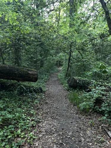 Best Hikes and Trails in Joseph Bryan Park | AllTrails