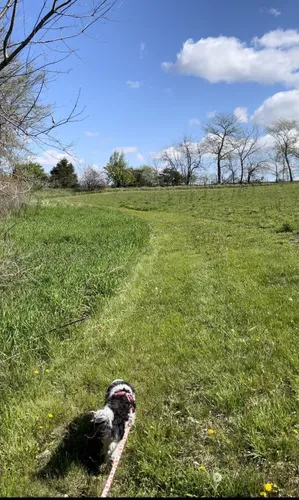 Best Hikes and Trails in Wilson Lake Park | AllTrails