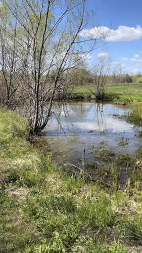 Best Hikes and Trails in Wilson Lake Park | AllTrails