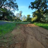 Mormon Island Browns Ravine Trail, California - 382 Reviews, Map ...