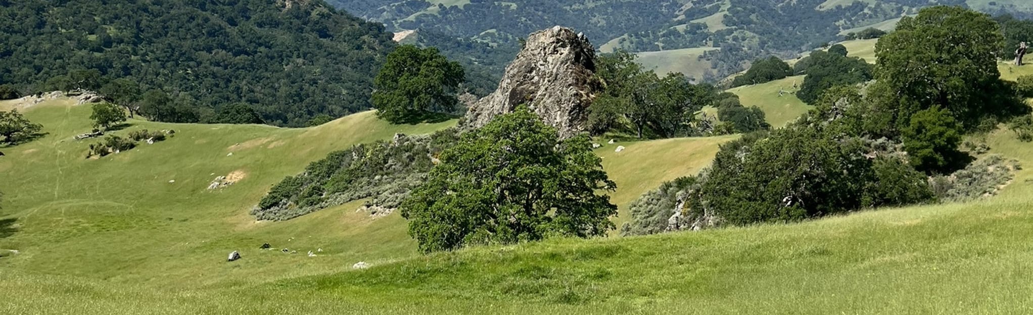 Eagle View, Cave Rocks, McCorkle and Ohlone Wilderness Trail ...