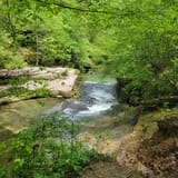 Kinlock Falls, Alabama - 273 Reviews, Map | AllTrails