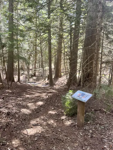 2023 Best Wild Flowers Trails in Rathdrum | AllTrails