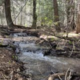 Rathdrum Mountain Story Walk Trail, Idaho - 124 Reviews, Map | AllTrails