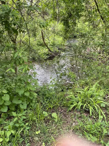 Best Hikes And Trails In Ida Lee Park And Recreation Center Alltrails