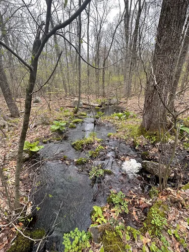 Best Hikes and Trails in Patch Hill Conservation Area | AllTrails
