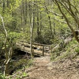 The Blue Ridge Escarpment, North Carolina - 159 Reviews, Map | AllTrails
