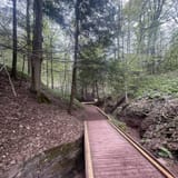 Root Glen, New York - 183 Reviews, Map | AllTrails