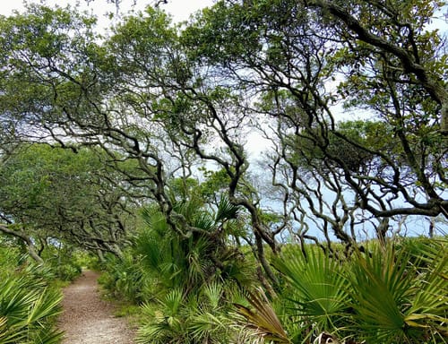 Best Hikes and Trails in North Peninsula State Park | AllTrails