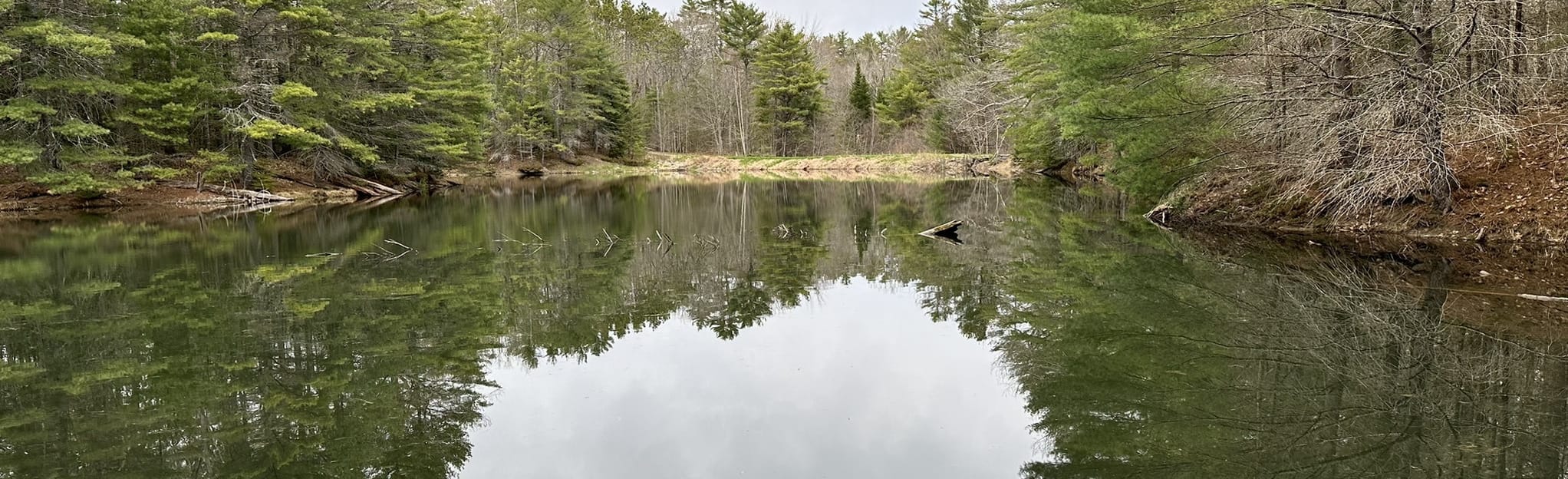 Dodge Point Ravine Trail: 54 Reviews, Map - Maine | AllTrails