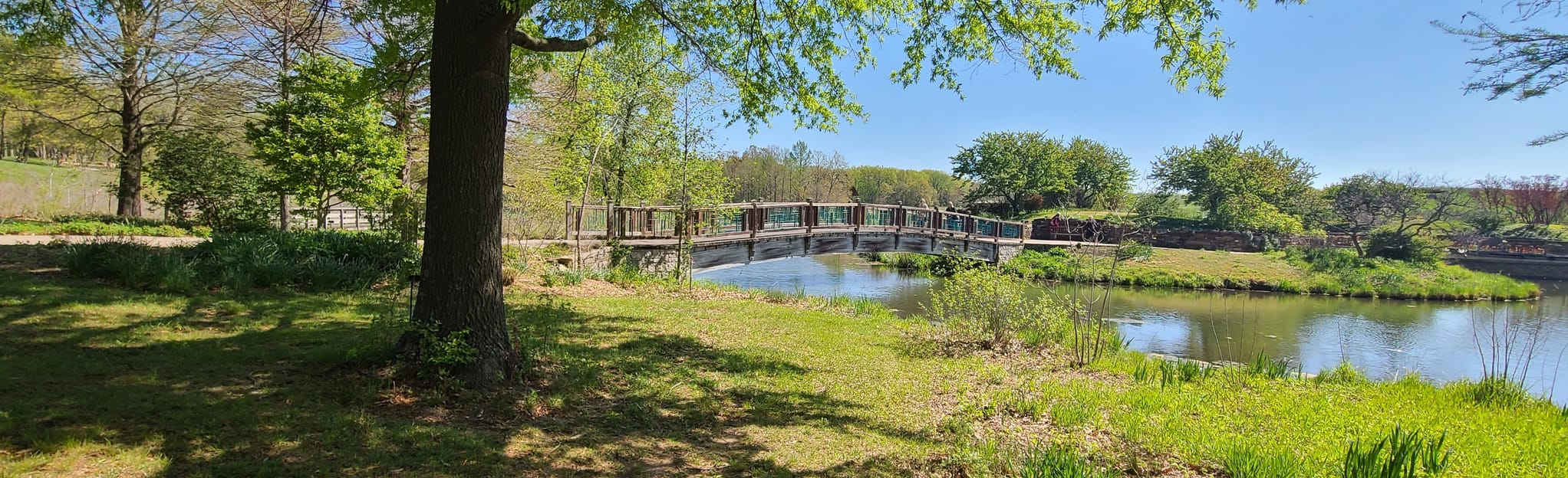 Prairie Ridge Trail: 28 Reviews, Map - Missouri | AllTrails