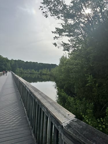 2023 Best Fishing Trails in Lake Johnson Nature Park | AllTrails