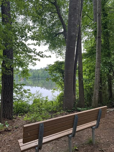 2023 Best Fishing Trails in Lake Johnson Nature Park | AllTrails