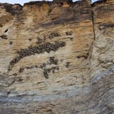 Monument Rocks Chalk Pyramids, Kansas - 113 Reviews, Map | AllTrails