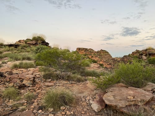 Best Hikes and Trails in Mirima National Park | AllTrails