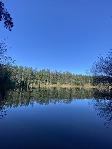 Best Hikes and Trails in Hemer Provincial Park | AllTrails